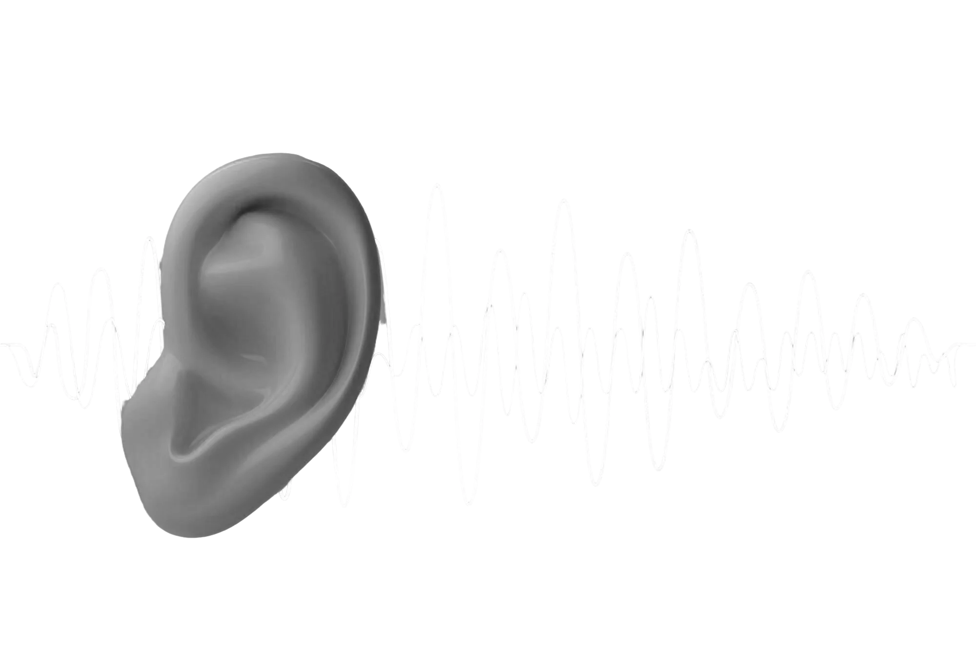 Zallocchi Lab | Advancing Neuroscience & Sensory Health